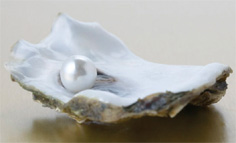 Ophthalmology Management | PentaVision