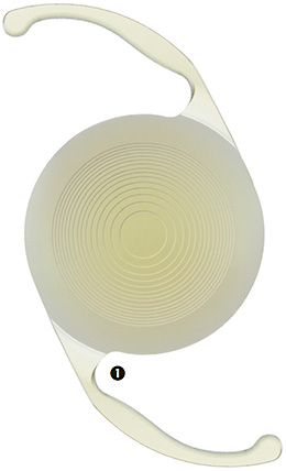 Ophthalmology Management | PentaVision