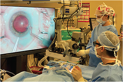 Ophthalmology Management | PentaVision