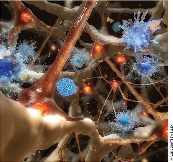 Ophthalmology Management | PentaVision